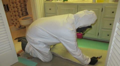 Why You Should Outsource Your Trauma Aftermath Cleanup